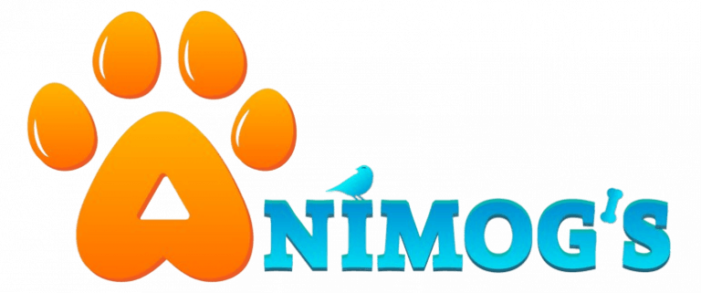 Perruche verte a collier - Guide complet sur ce type de perroquet